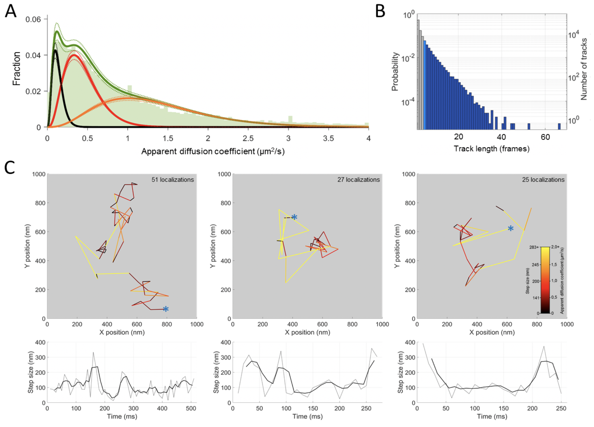 Published: Evaluating single-particle tracking by photo-activation ...